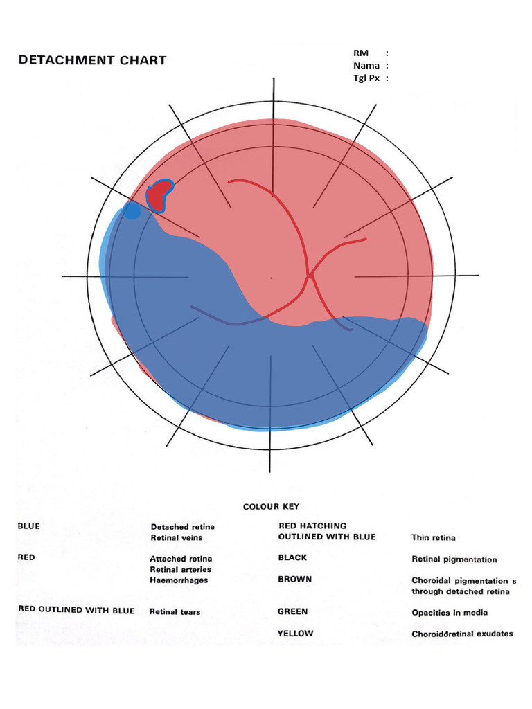 DETACHMENT CHART Contoh | PDF