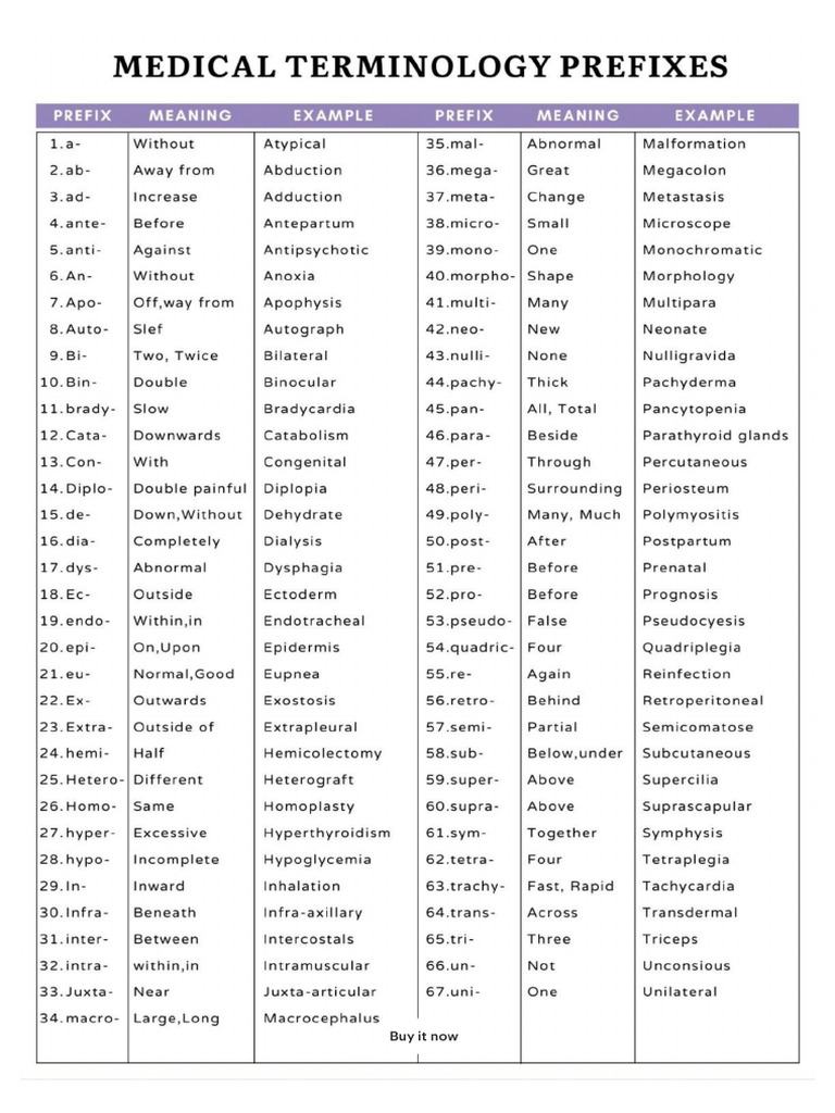 Terminology and Prefixes | PDF