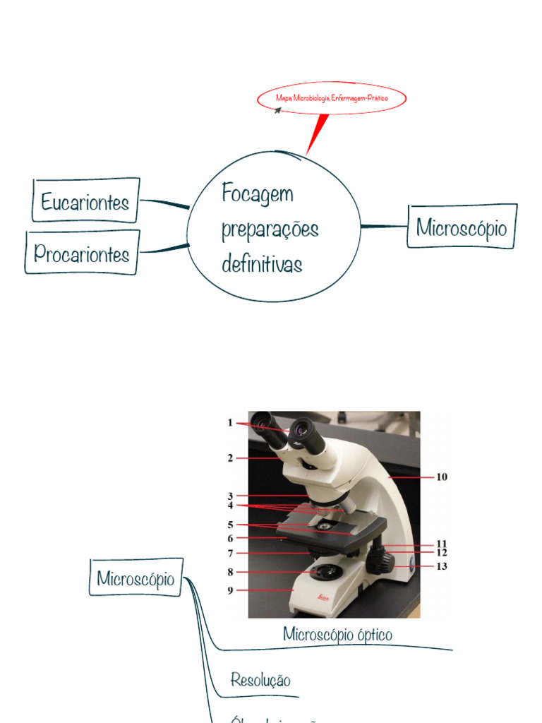 Mapa MGER CEN P - Microscopia - Aula 2 | PDF