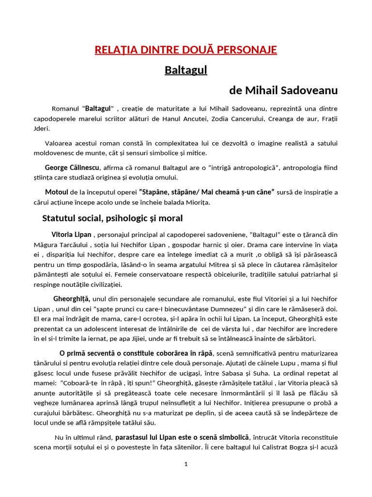 Baltagul Relatia Doua Personaje | PDF