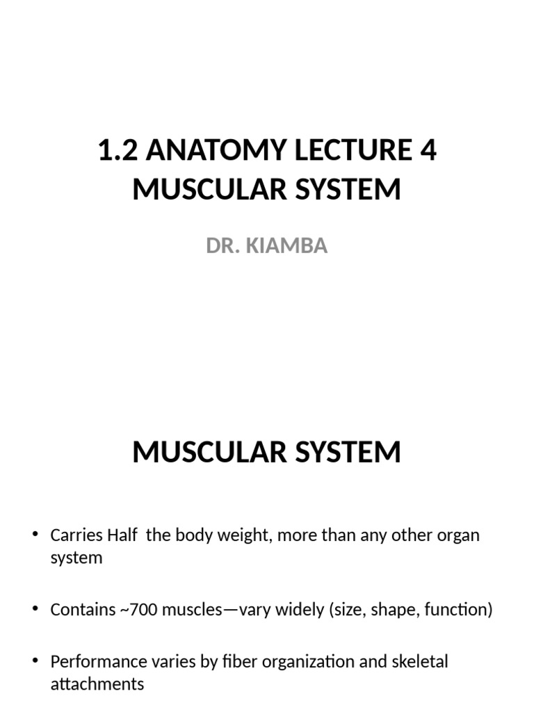 1.2 Anatomy Lecture 4 | PDF