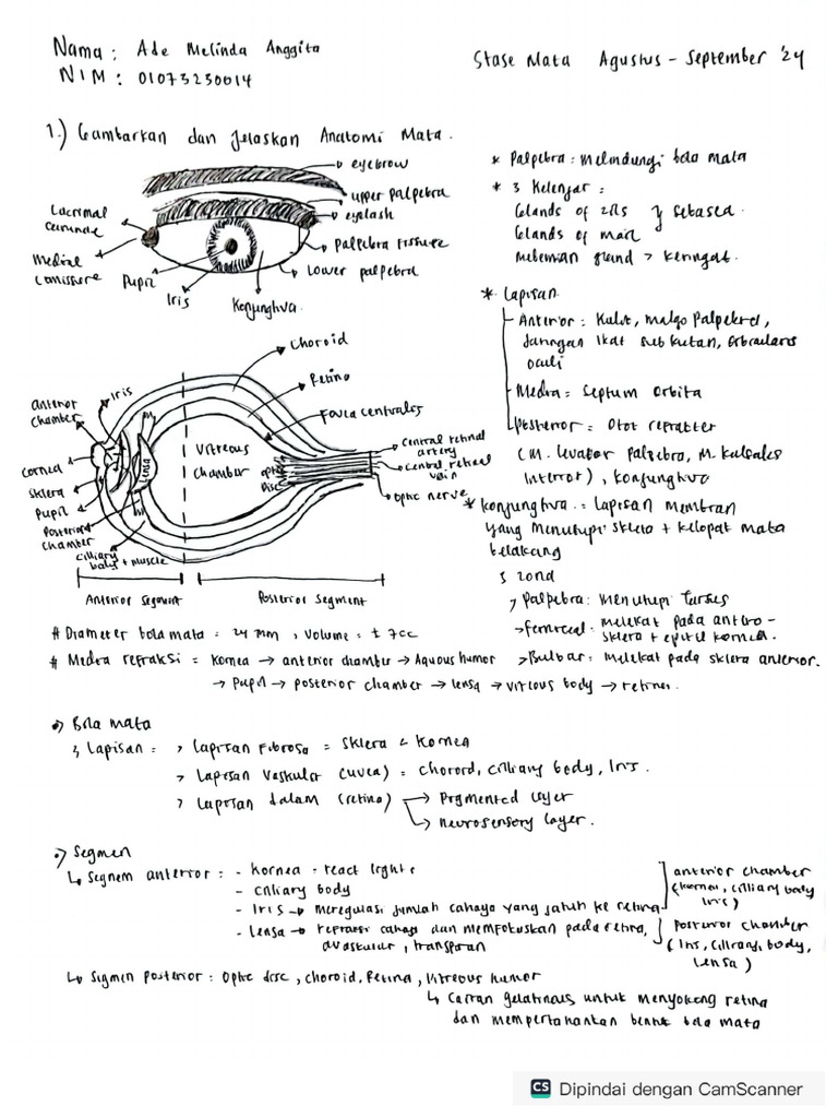 Pre Test Mata_Ade Melinda Anggita_01073230014 | PDF
