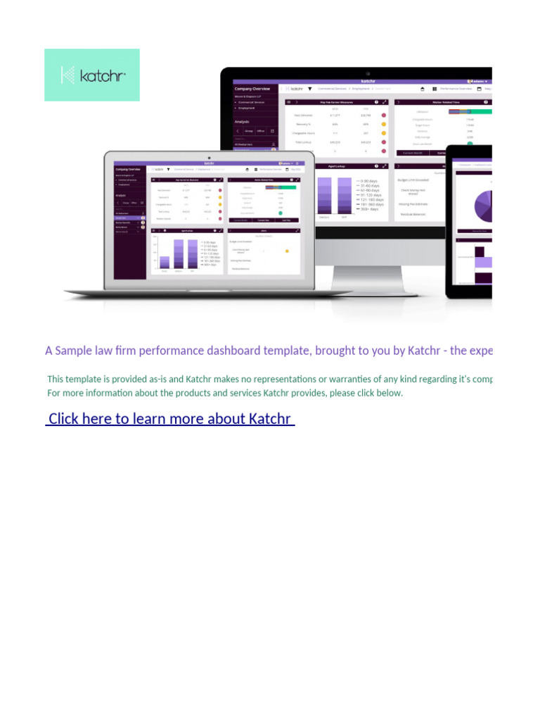 Monthly Performance Dashboard Template 2 | PDF