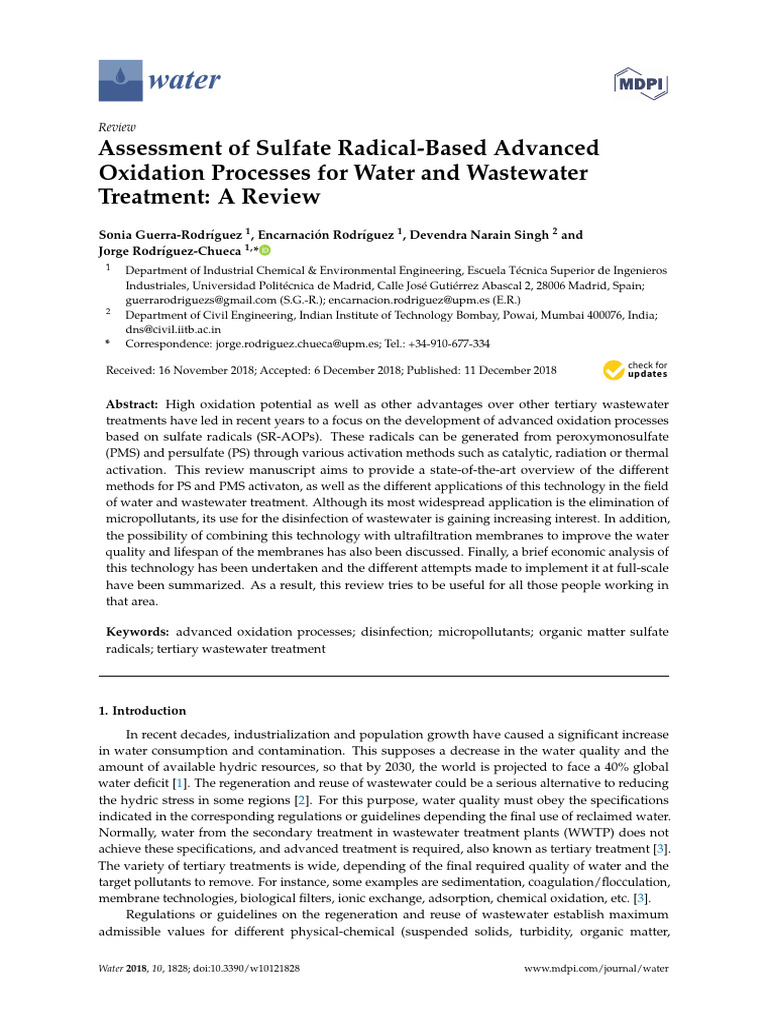 Sulfate Radical | PDF