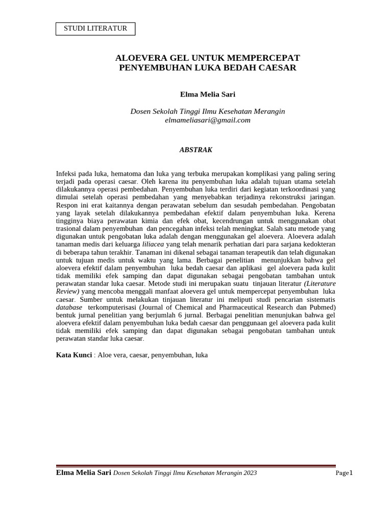Contoh Publikasi | PDF