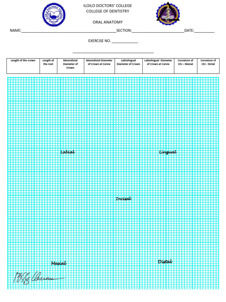 ANT FORMAT 10 Grid DRAWING | PDF | Foreign Language Studies | Wellness