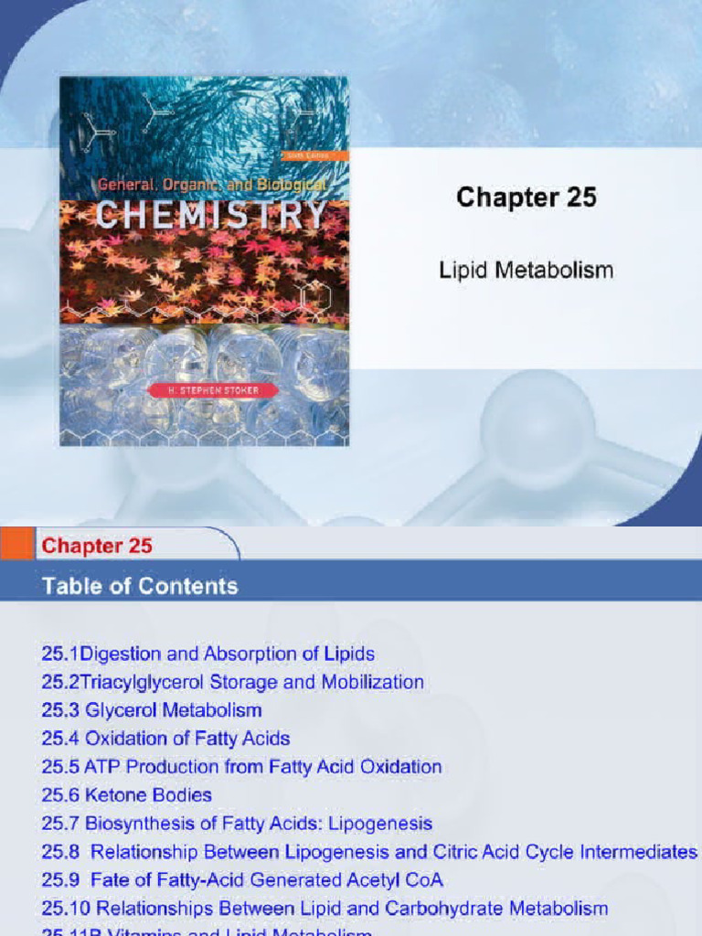 Lipid Metabolism | PDF