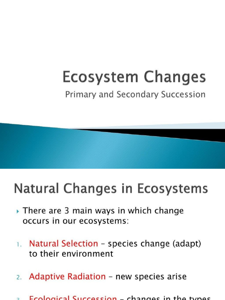 NATURAL CHANGE word | PDF