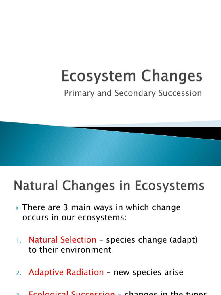 Natural Changes | PDF