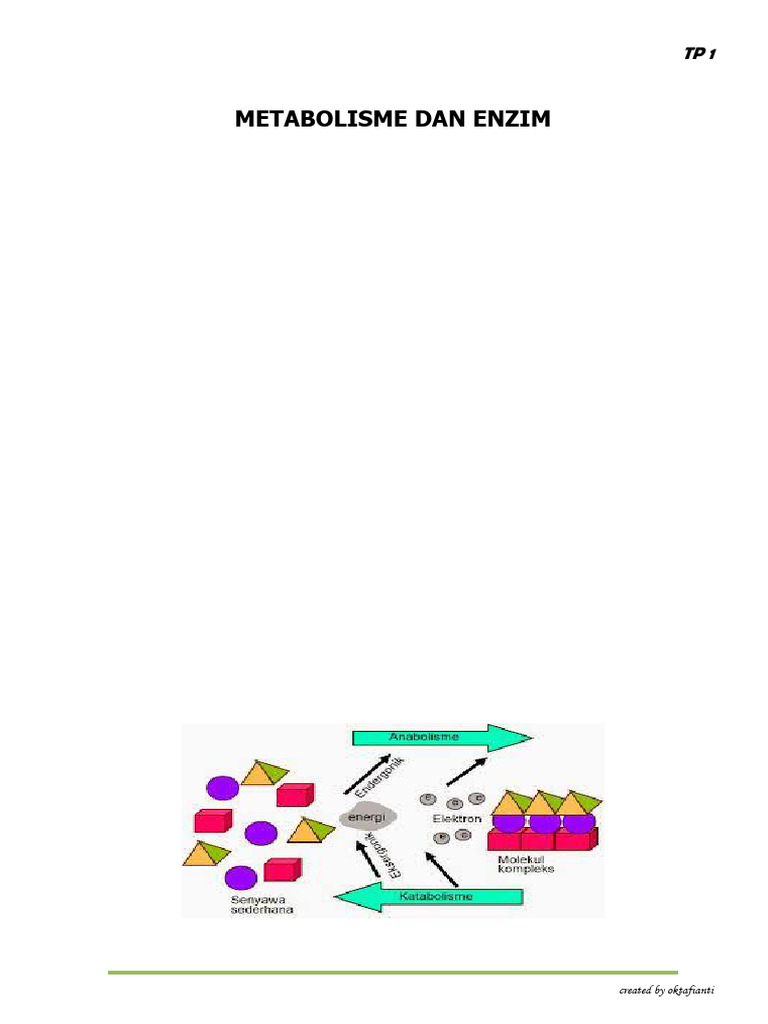Lkpd 1 Metabolisme Dan Enzim | PDF