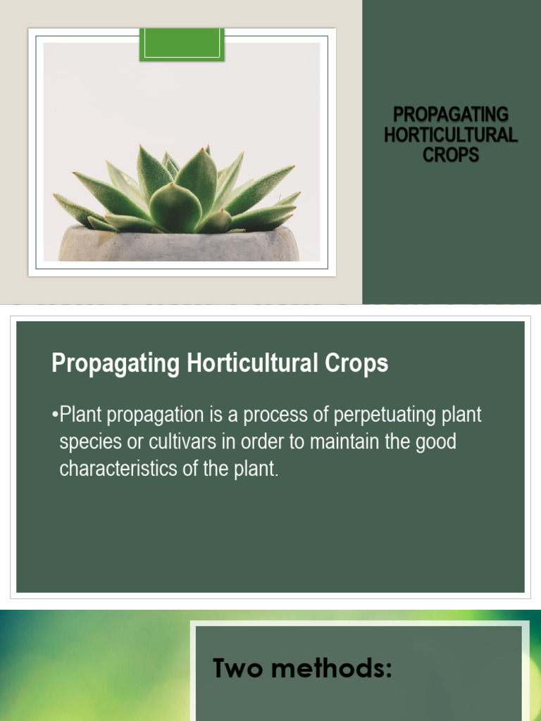Propagating Horticultural Crops PPT 2 012314 | PDF
