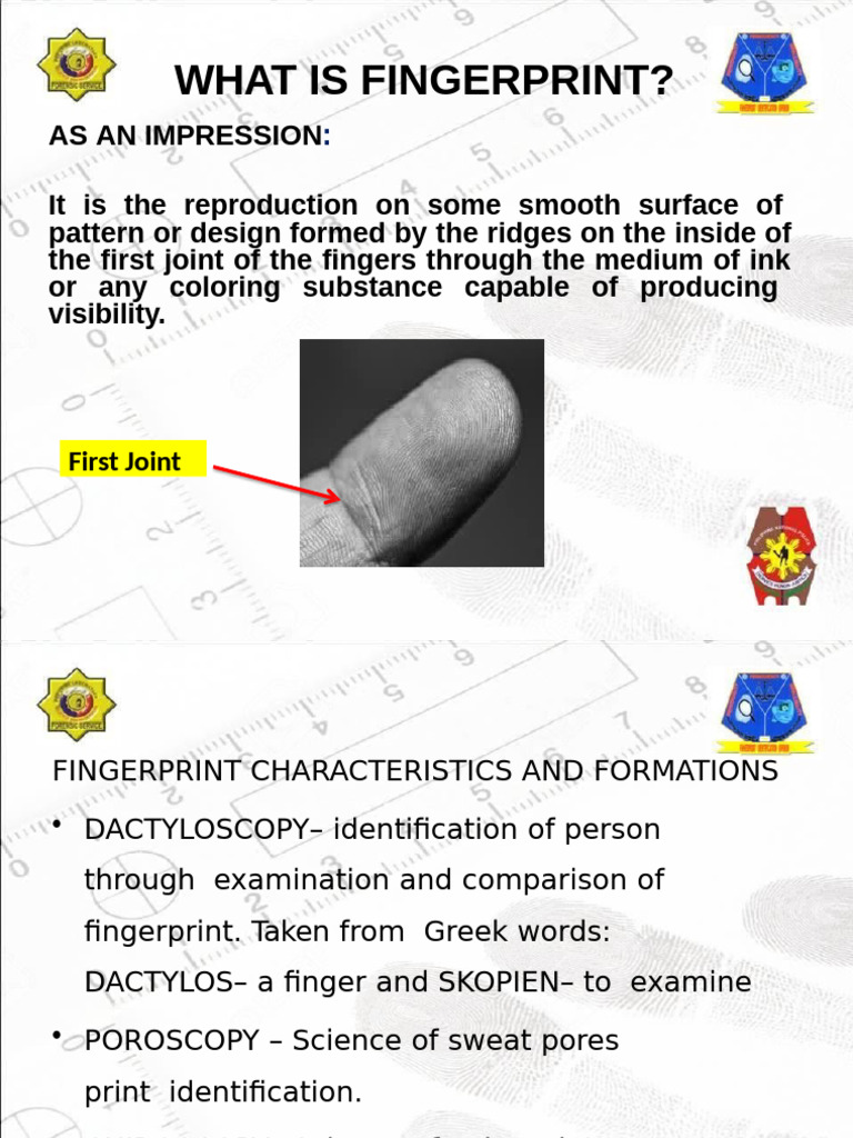 11.4 Dactyloscopy What Is Fingerprint | PDF