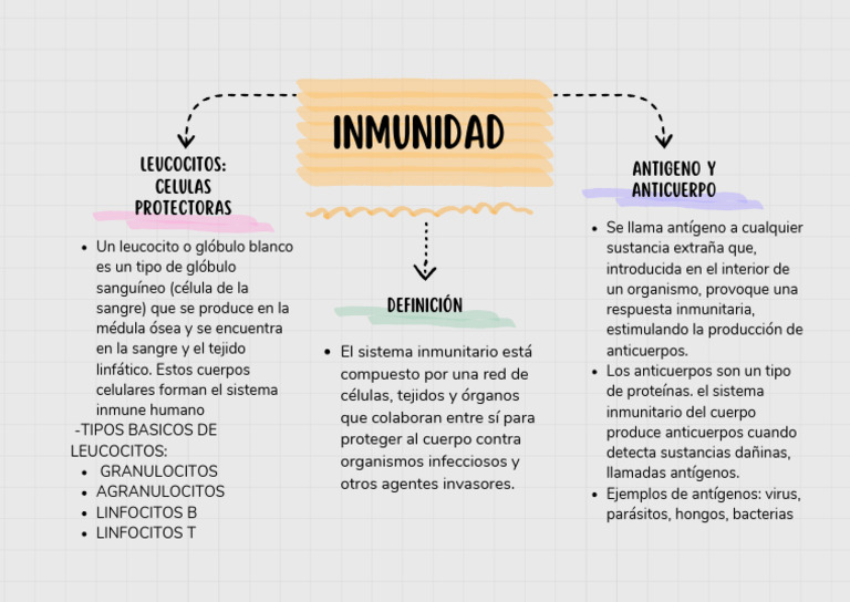 Organizador Grafico - Sistema Inmune | PDF