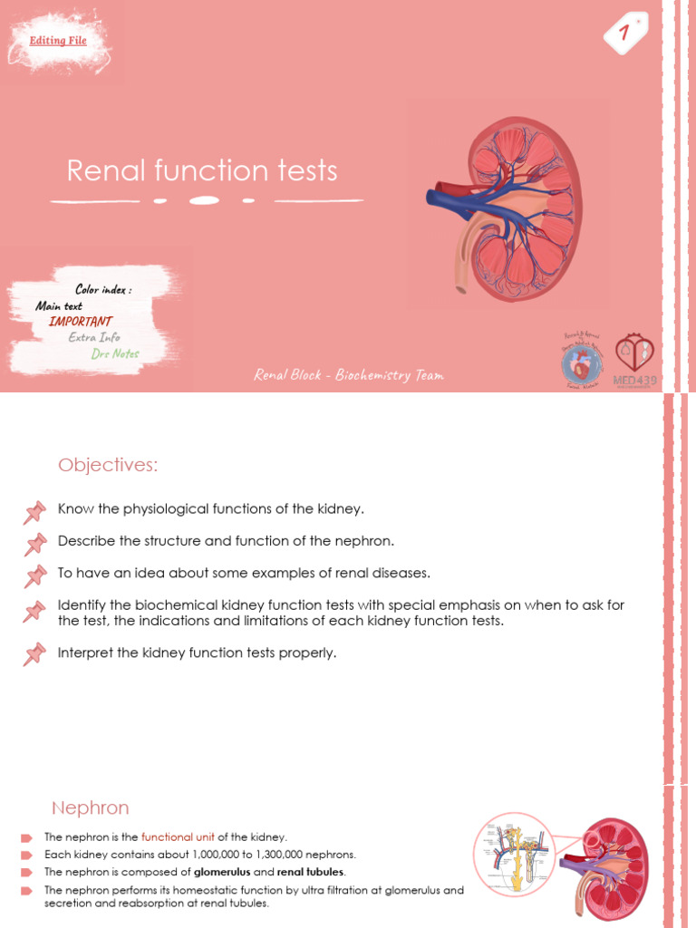 1 - Renal Function Tests | PDF