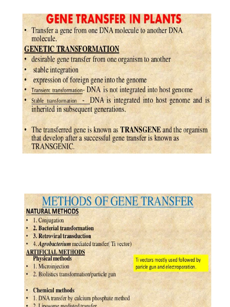 Disease Free Plants | PDF