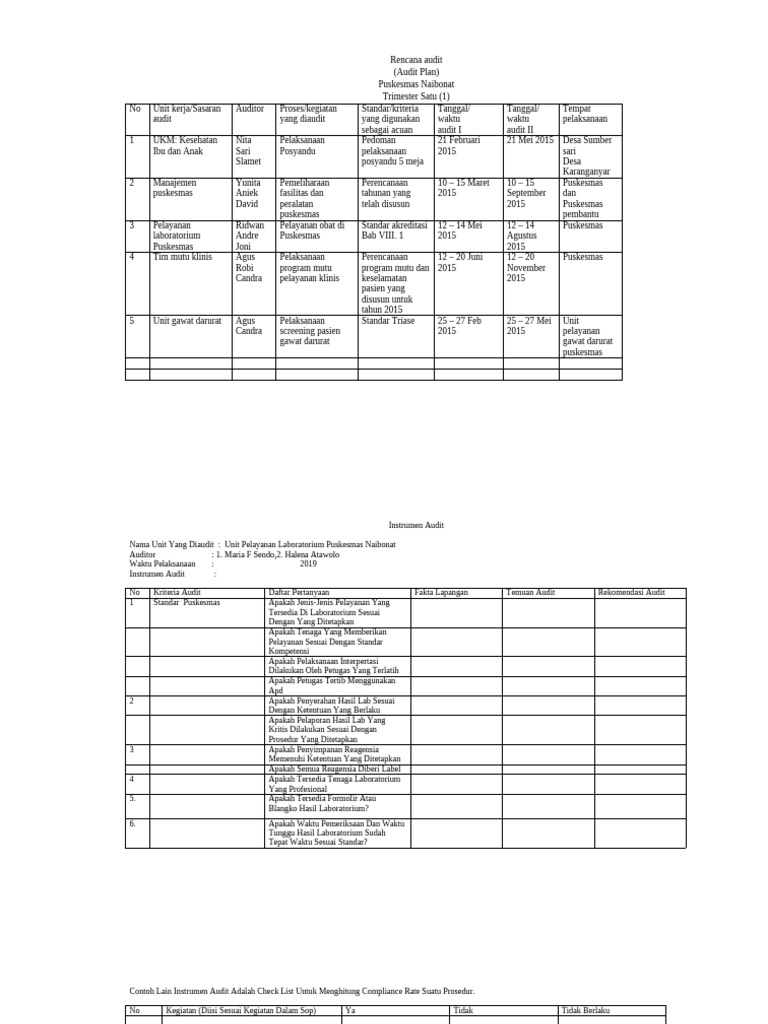 Rencana Audit Puskesmas Naibonat 2015 | PDF