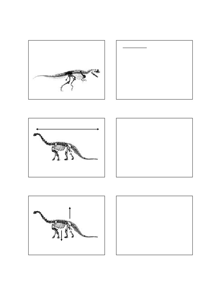 Lecture2 Handout | PDF