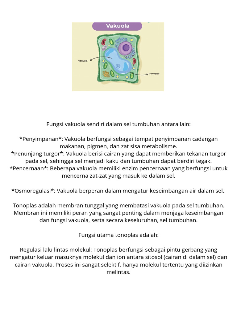 Sentrosom Pengertian Sentrosom Adalah Organel Sel Yang Berbentuk ...