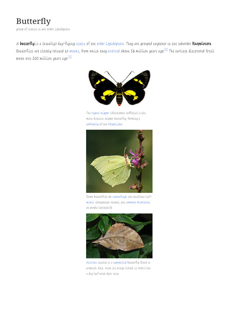 Butterfly - Simple English Wikipedia, The Free Encyclopedia | PDF