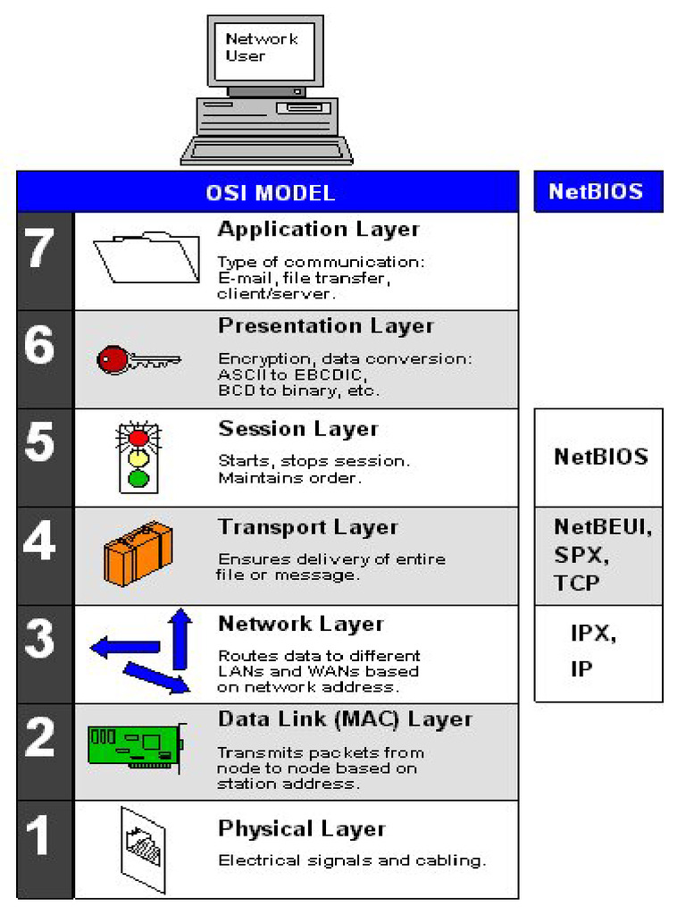 Netbios-Netbios - Fit Lim - Size 768x | PDF