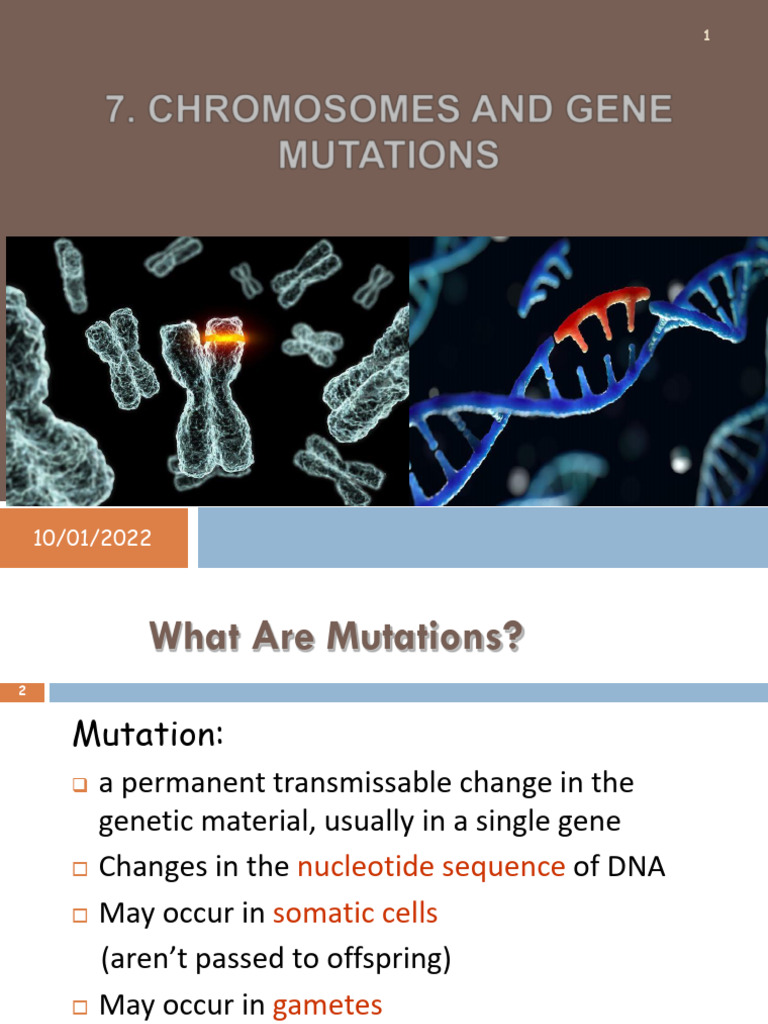 07 - 08 - Mutations and Population Genetics - Final | PDF