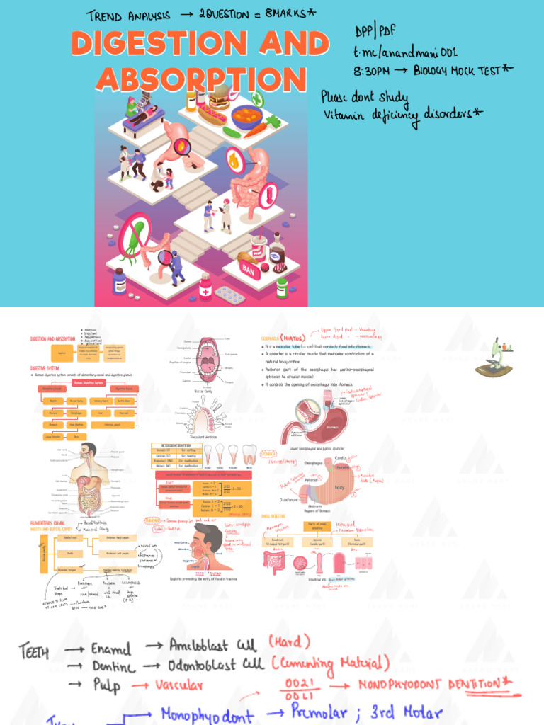 Digestion and Absorption-1 | PDF