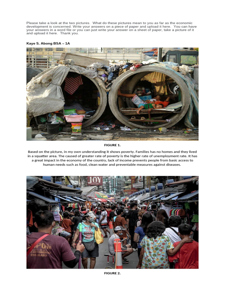 Picture_Analysis_1 ECODEV | PDF