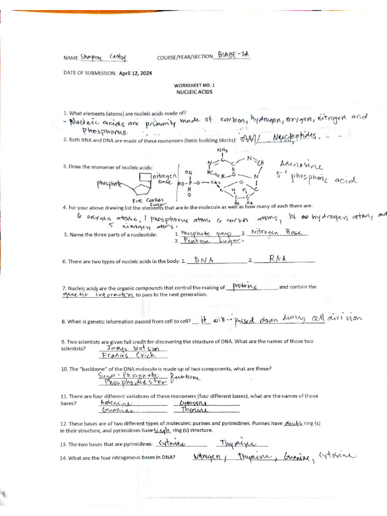 Worksheet 1,2 Biochem | PDF