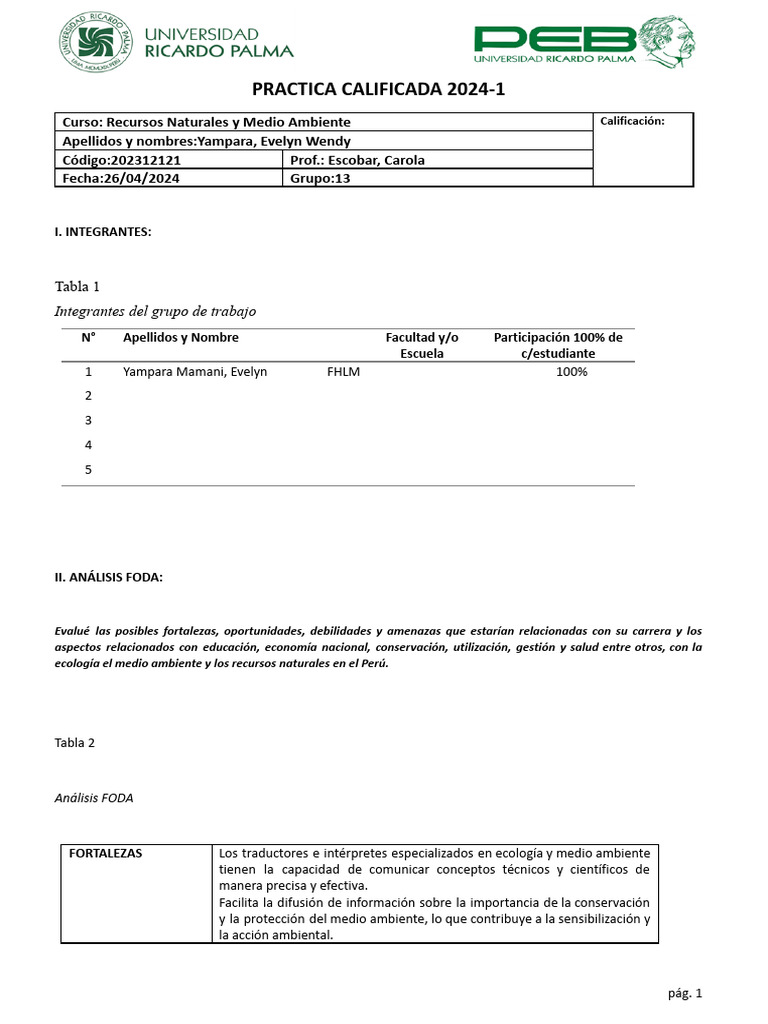 Formato de Presentación PRACTICA 1 - 2024-1 | PDF
