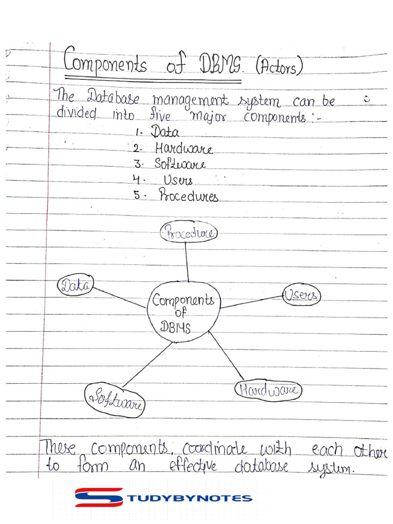 Components of DBMS | PDF