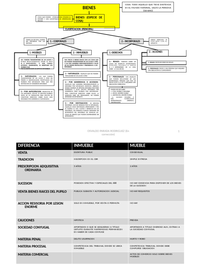 Esquema Bienes 1 | PDF