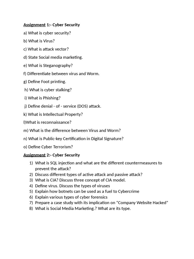 Assignment Cyber Security | PDF