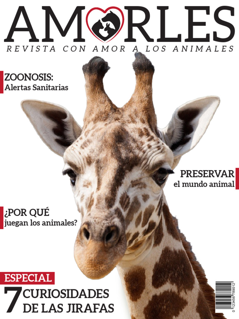 TGD - Proyecto Final2.0 | PDF