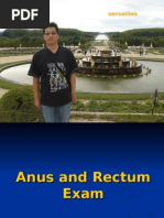 PR Examination | PDF | Gastroenterology | Pelvis