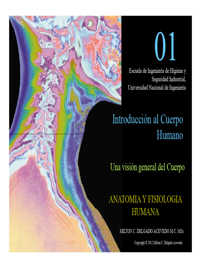 Introducción Al Cuerpo Humano 01 Pdf