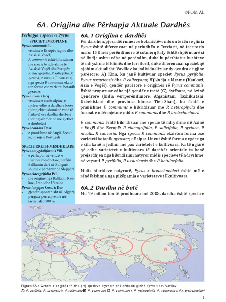 Origjina Dhe Perhapja e Dardhes | PDF