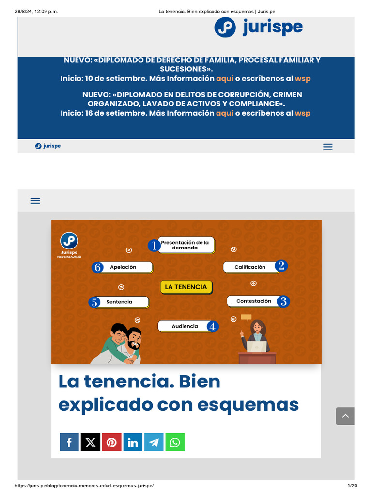 La Tenencia. Bien Explicado Con Esquemas - Juris - Pe | PDF