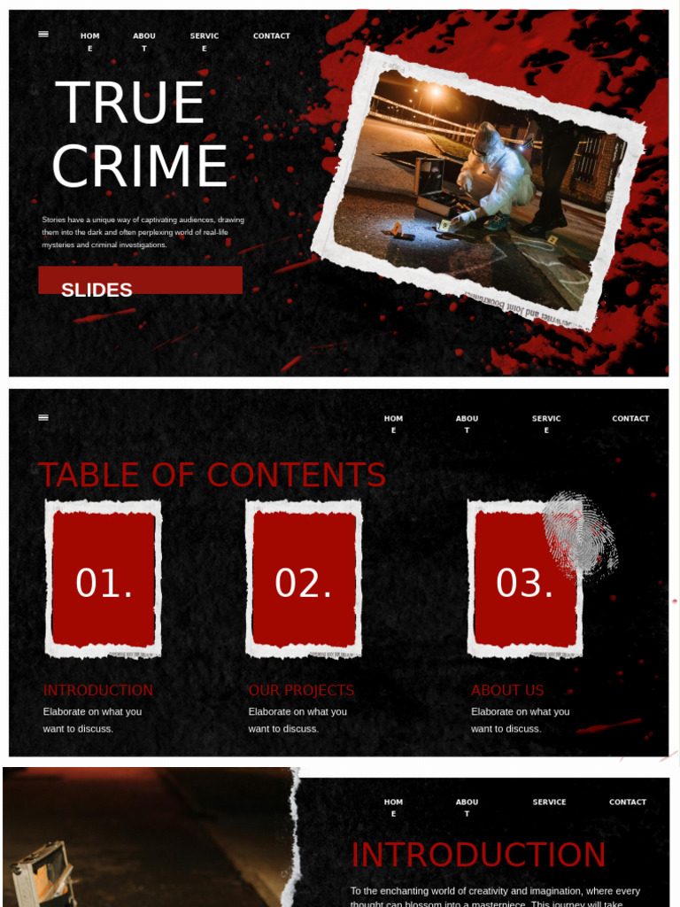 True Crime Slides | PDF