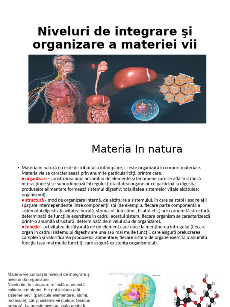Niveluri de Integrare Şi Organizare A Materiei VII cl.12 | PDF