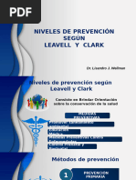 Niveles de Prevención de Leavell y Clark | PDF | Asistencia sanitaria ...