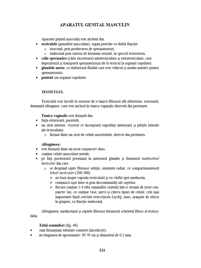 Cap. 8 Aparatul Genital Masculin | PDF