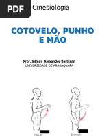Aula 6 Ossos, Músculos, Inervação e Vascularização Do Punho e Mão | PDF ...