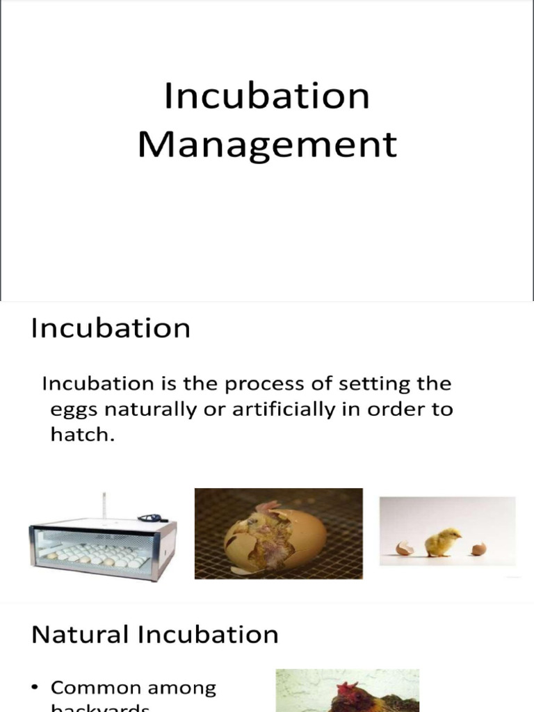 Poultry 2 | PDF