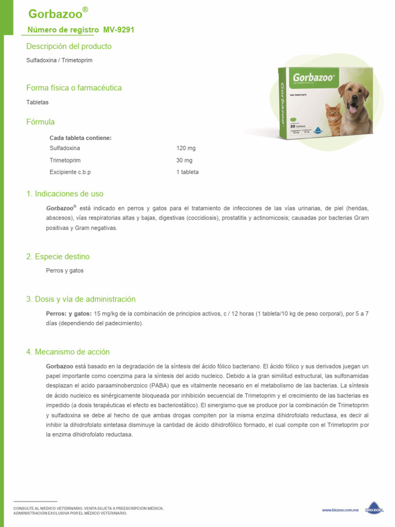 Gorbazoo-tabletas_NIC | PDF