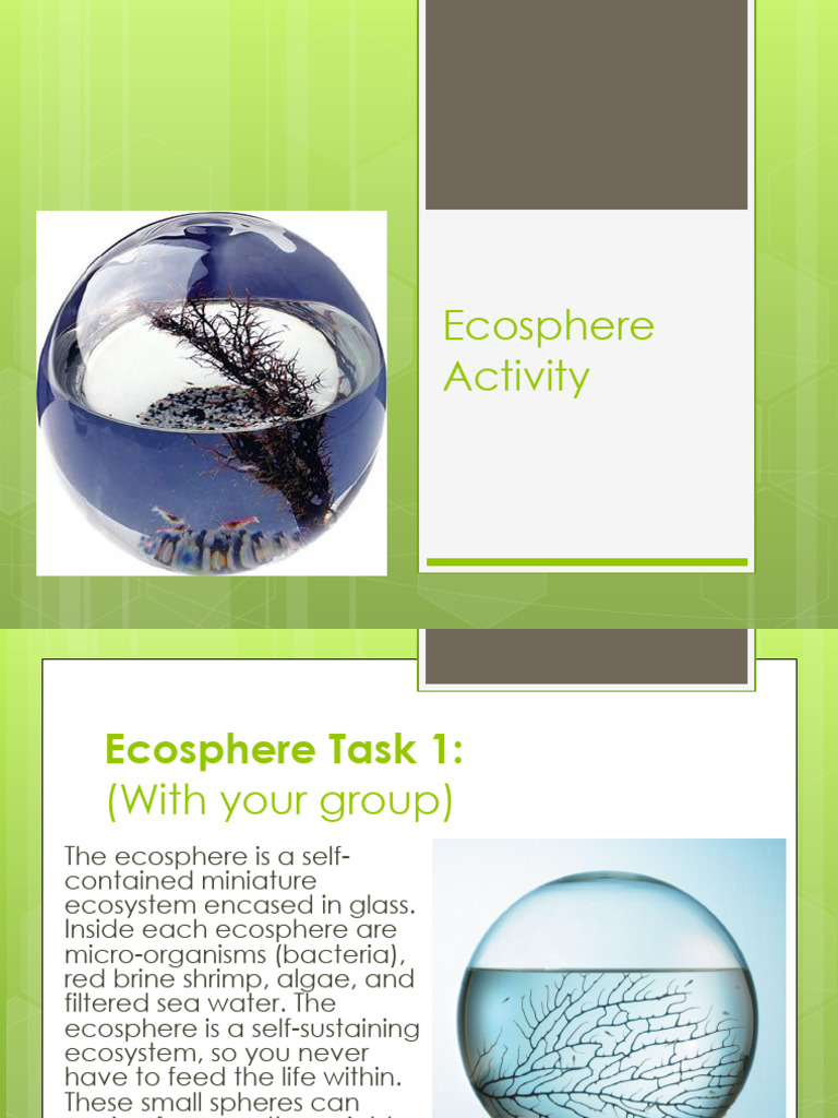 Ecosphere Activity | PDF
