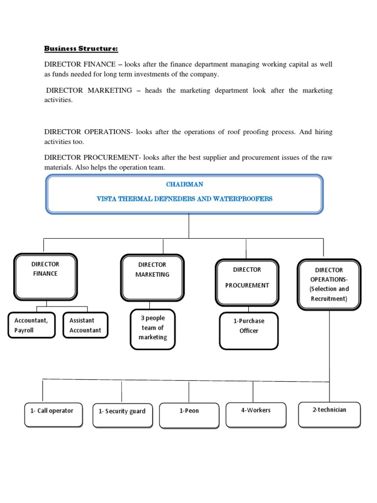 Business Structure | PDF