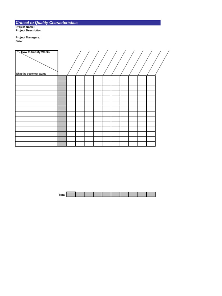 CTQ Template | PDF