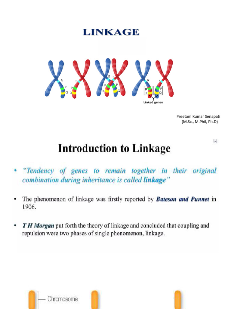 Linkage | PDF