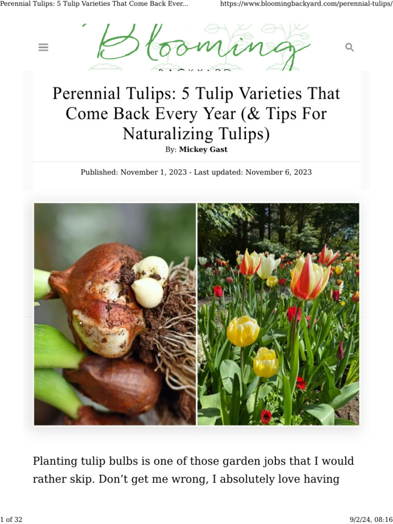 5 Perennial Tulip Varieties to Grow | PDF | Tulip | Science & Mathematics