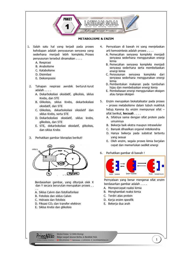 BIOLOGI BAB 9 LATIHAN SOAL Metabolisme & Enzim | PDF